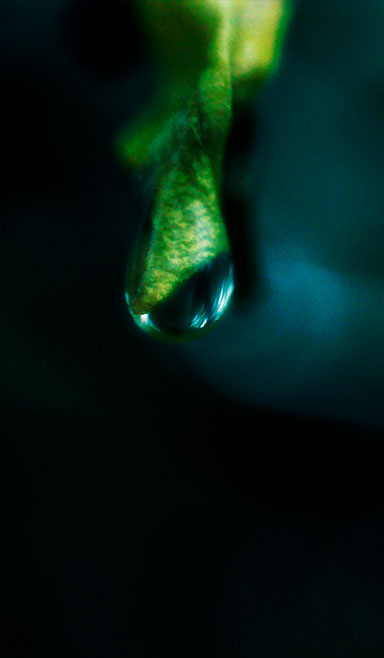 兰州大学国际处Global LZU